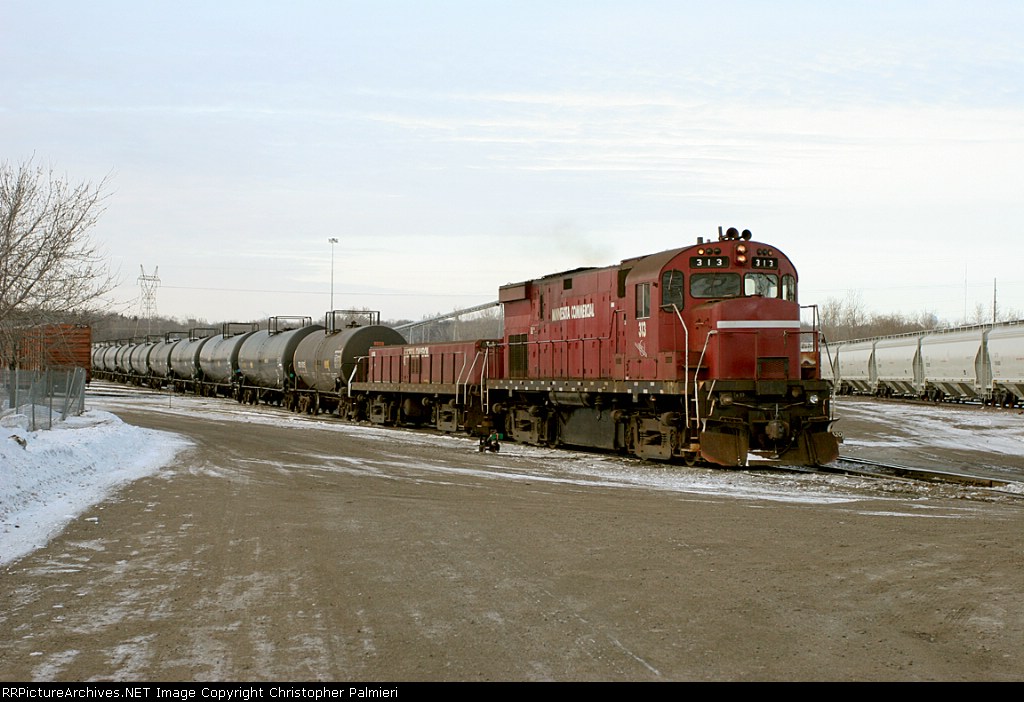 MNNR 313 and MNNR T1